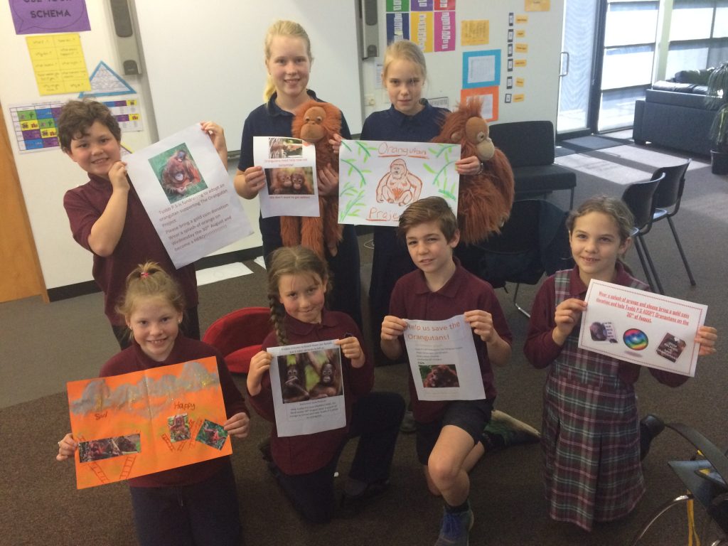 Electives – Tyabb Primary School